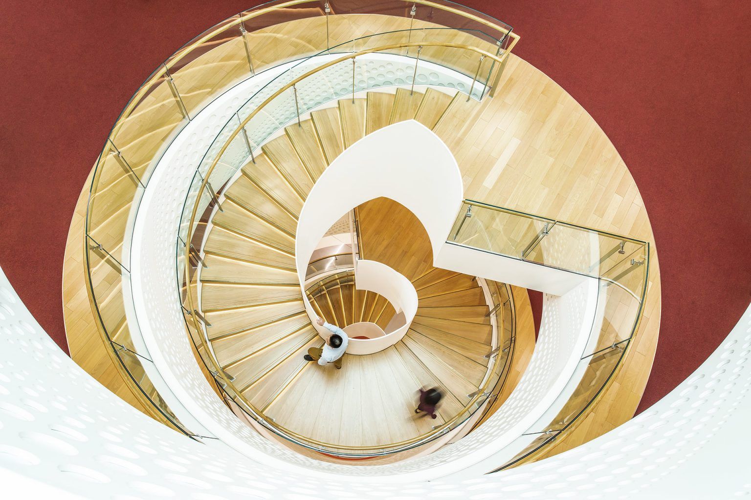 Roche Innovation Center Shanghai – hammeskrause architekten