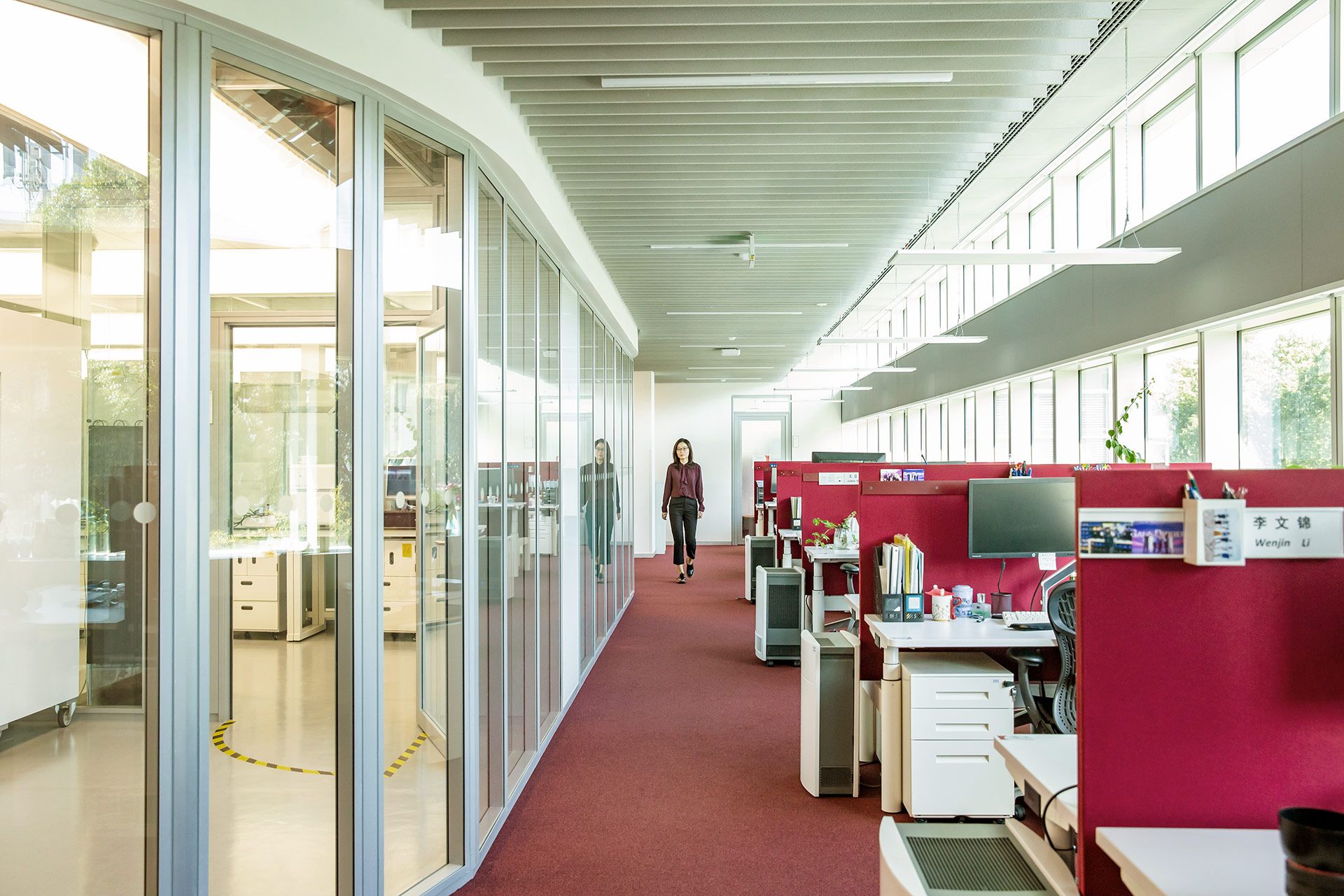Roche Innovation Center Shanghai – hammeskrause architekten